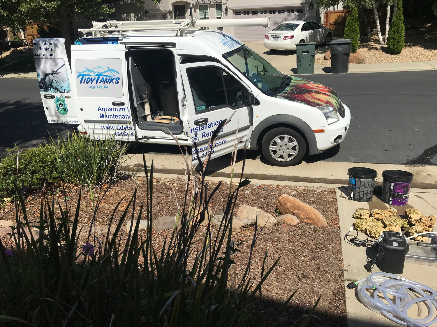 Portfolio – Tidy Tanks Aquarium